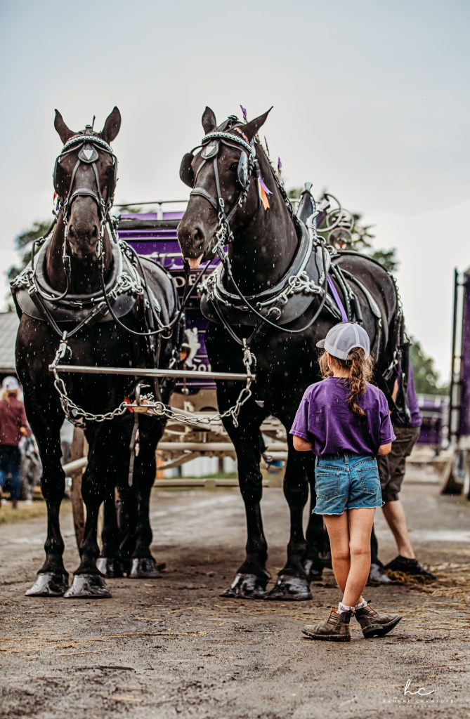 Expo Ormstown - The Livestock Breeders Association